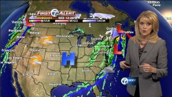 Hally Vogel - WXYZ 7 Detroit - TvNewsCaps